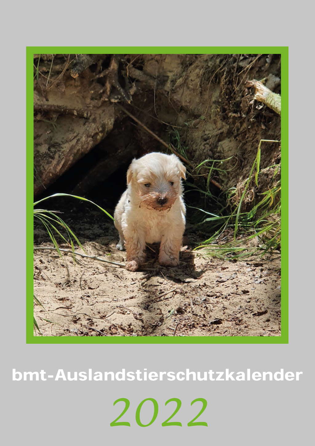 Unsere Kalender 2021 | bmt e.V.