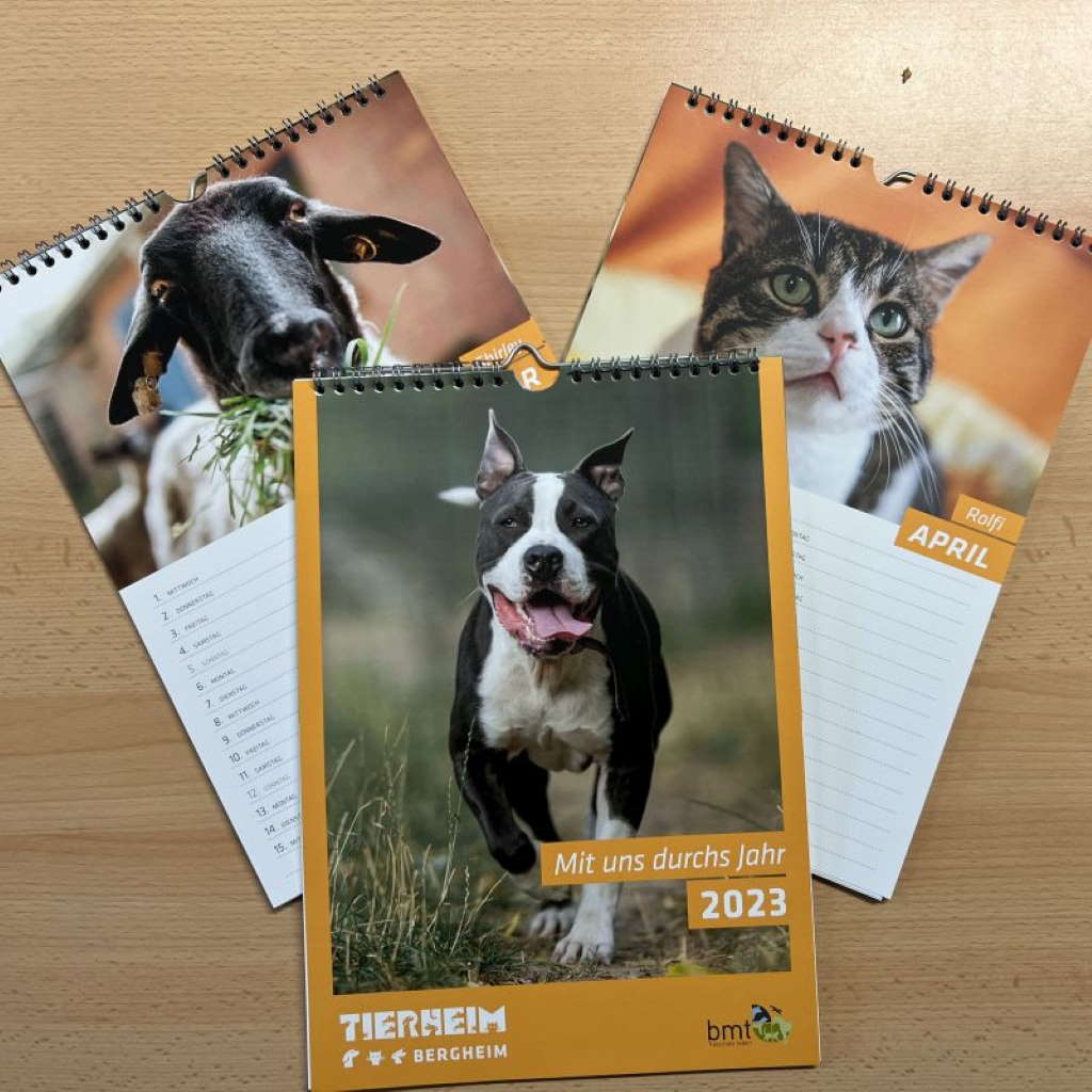 Unsere Kalender 2023 | bmt e.V.